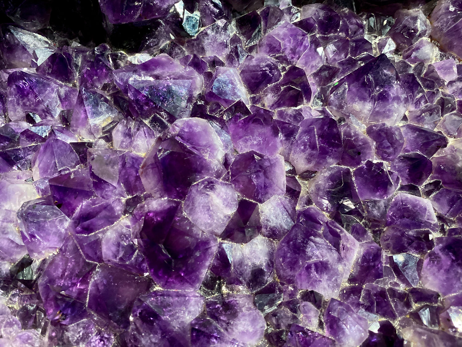 Kalifano Amethyst Crystal Lizard Figurine made with Swarovski Crystal