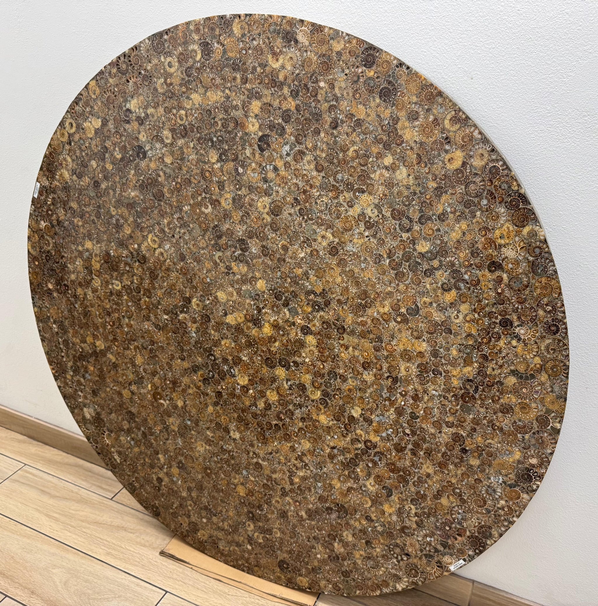 KALIFANO | Natural Ammonite Table from Madagascar - 59" For Sale