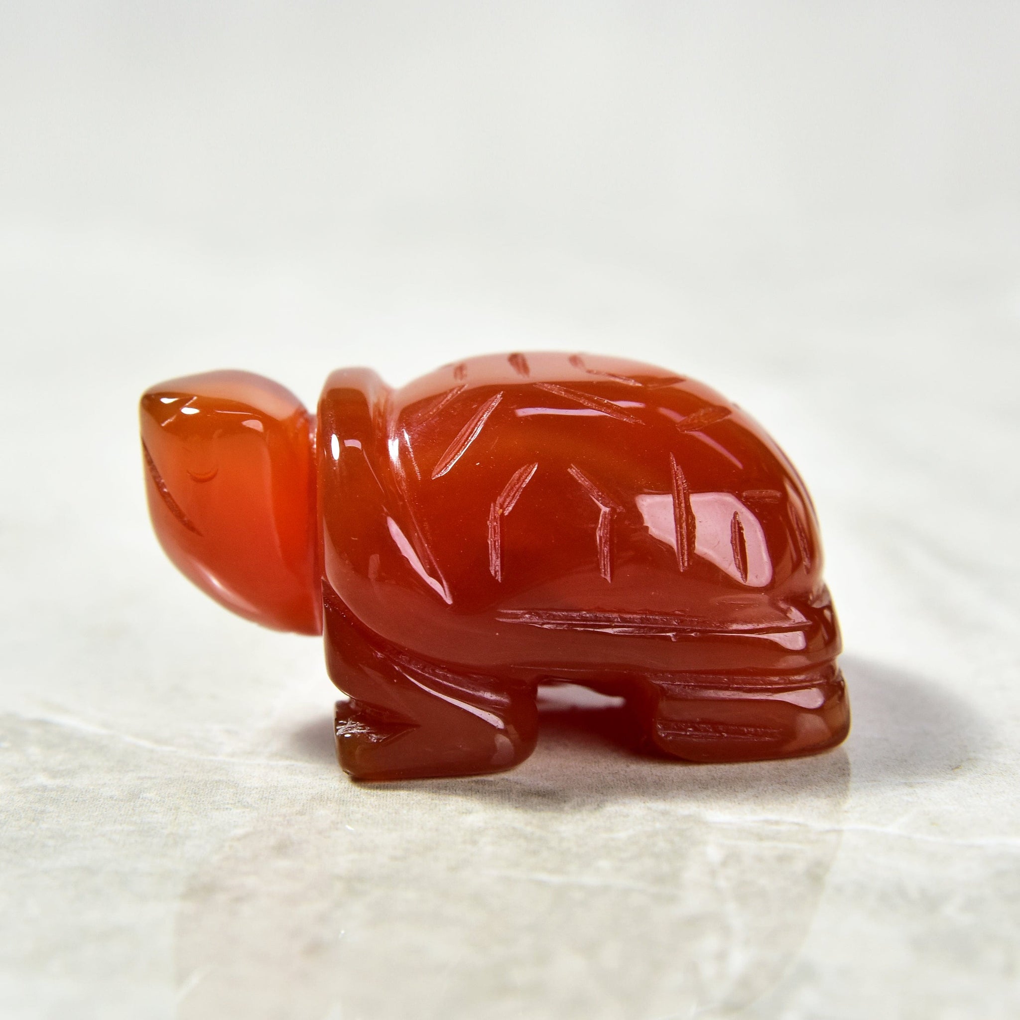 2" Carnelian Turtle Natural Gemstone Carving