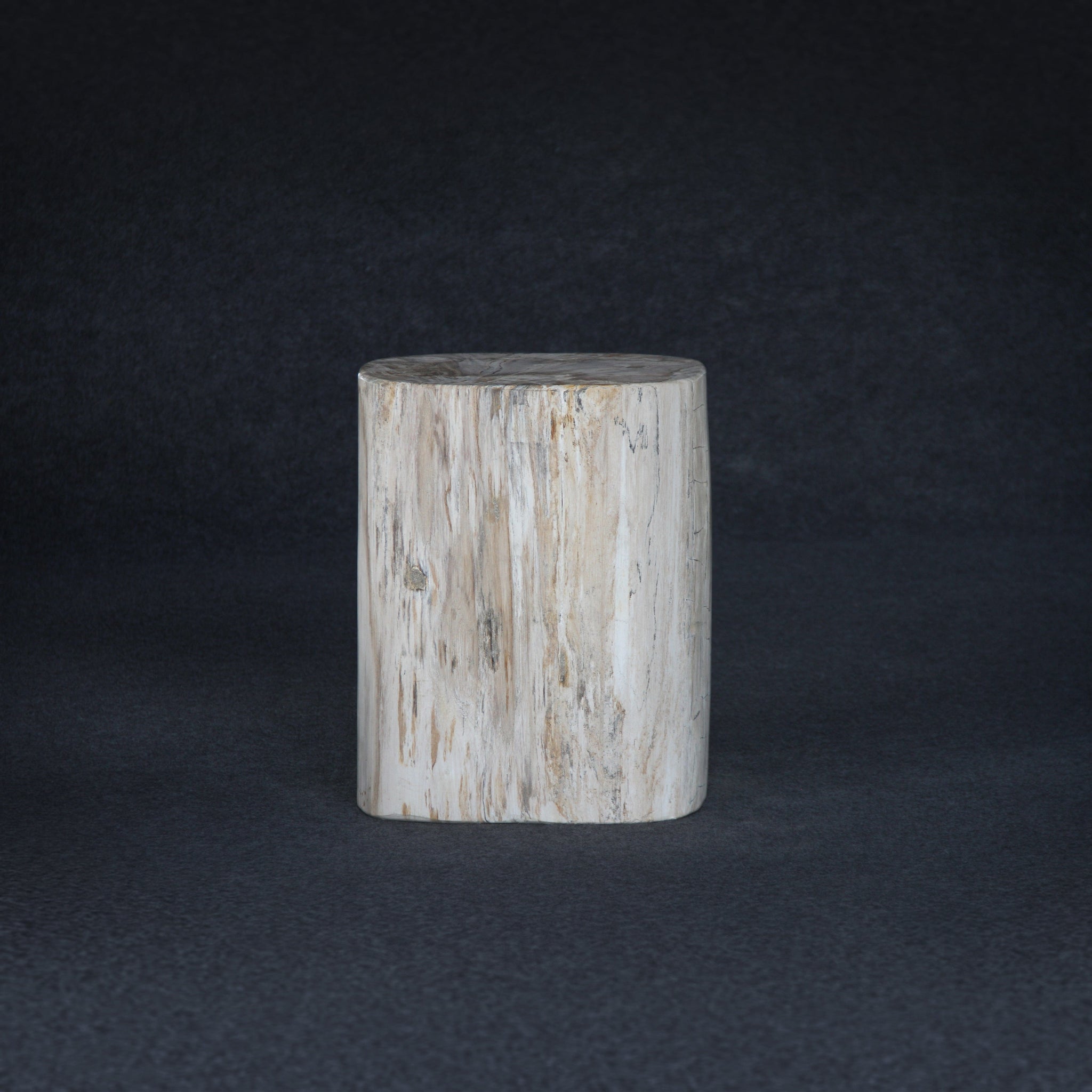 KALIFANO | Petrified Wood Round Stump / Stool For Sale 18" / 183lbs