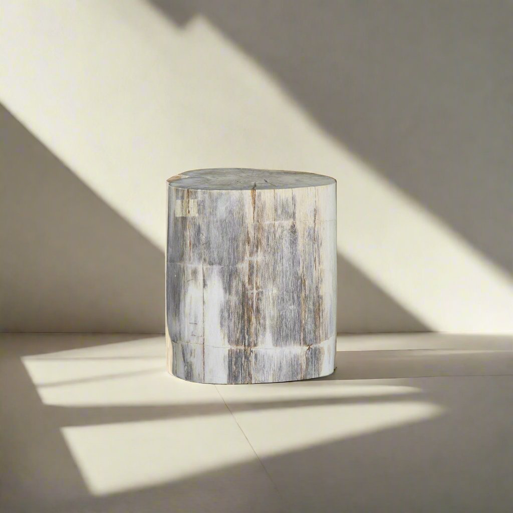 KALIFANO | Petrified Wood Round Stump / Stool For Sale 18" / 245lbs