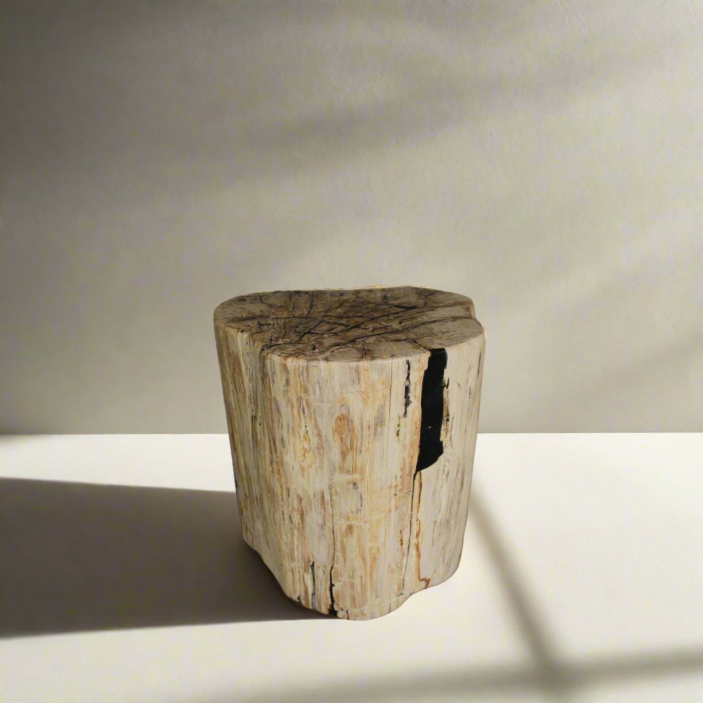 KALIFANO | Petrified Wood Round Stump / Stool - 16" / 240 lbs