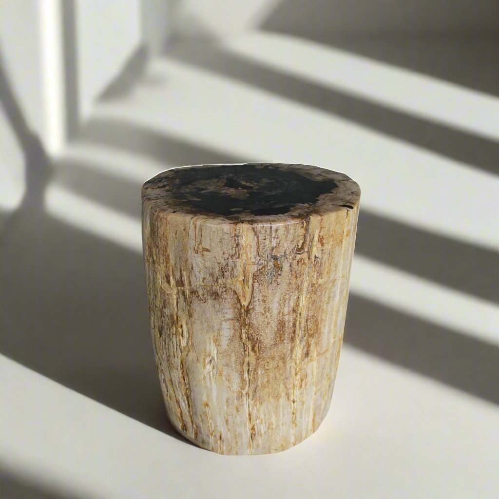 KALIFANO | Petrified Wood Round Stump / Stool - 18" / 266 lbs