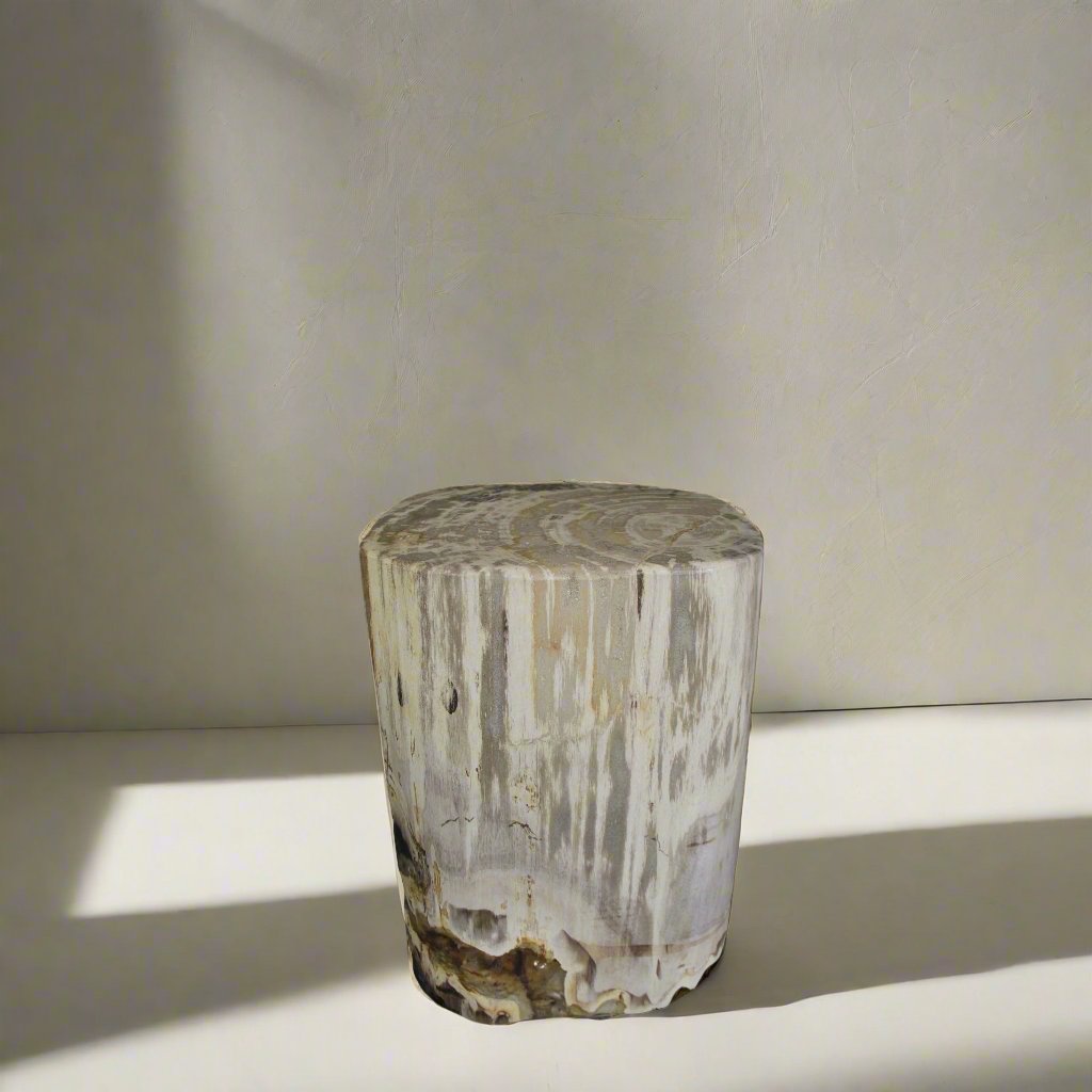 KALIFANO | Petrified Wood Round Stump / Stool - 45" / 253 lbs