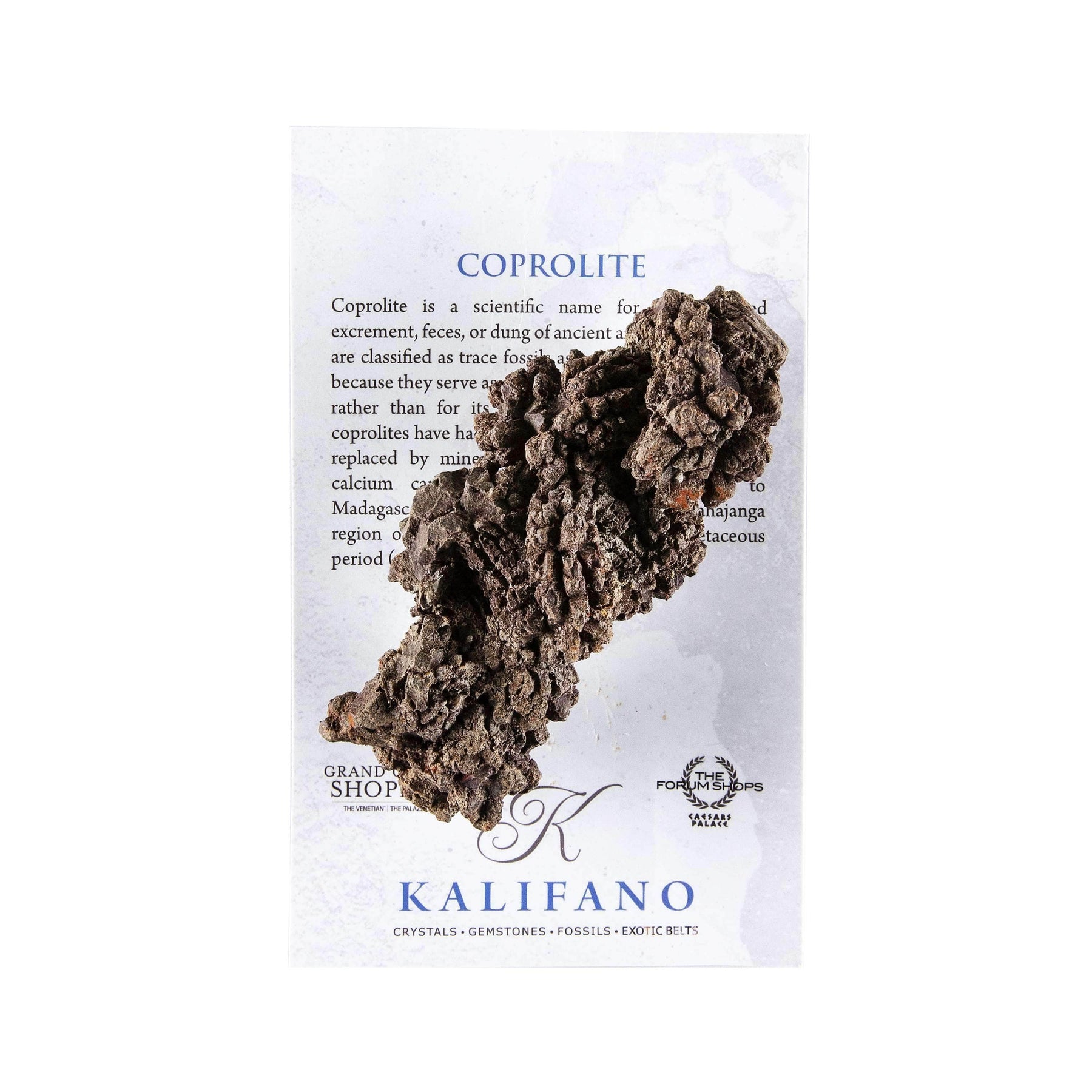 Dinosaur Dung Poop Coprolite From Madagascar KALIFANO Dinosaur Dung Poop Coprolite From Madagascar KALIFANO