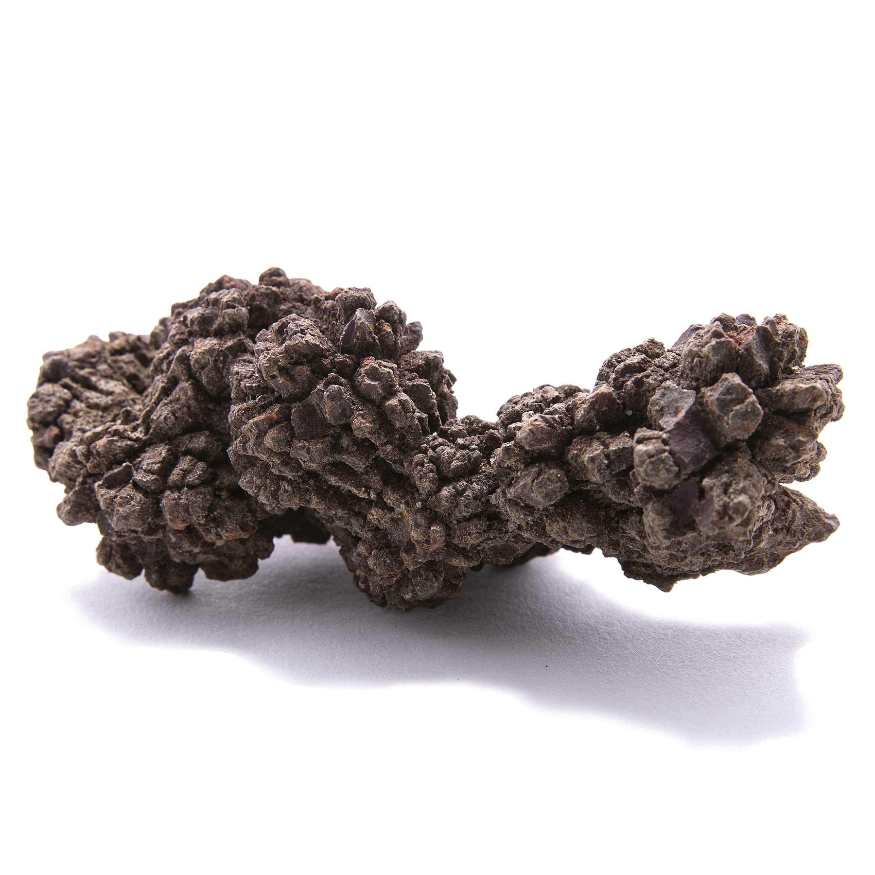 Dinosaur Dung Poop Coprolite From Madagascar KALIFANO Dinosaur Dung Poop Coprolite From Madagascar KALIFANO