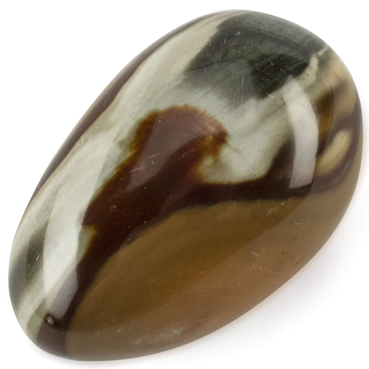 KALIFANO | Megalodon Tooth from South Carolina - 5.6" for sale