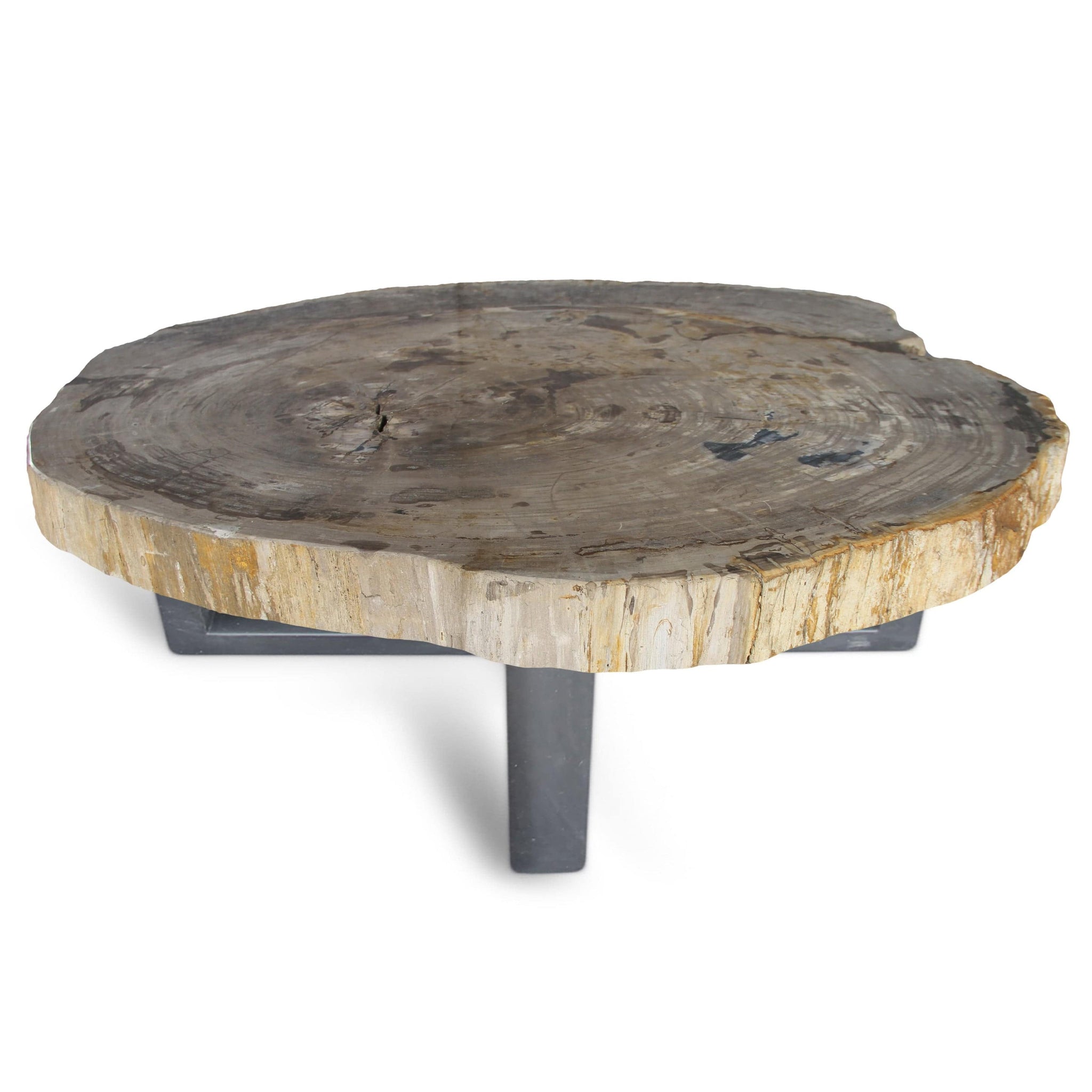 KALIFANO | Petrified Wood Round Slab Coffee Table - 45" / 381 lbs
