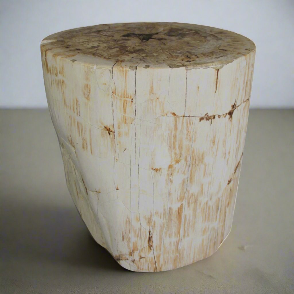 KALIFANO | Petrified Wood Round Stump / Stool - 16" / 161 lbs