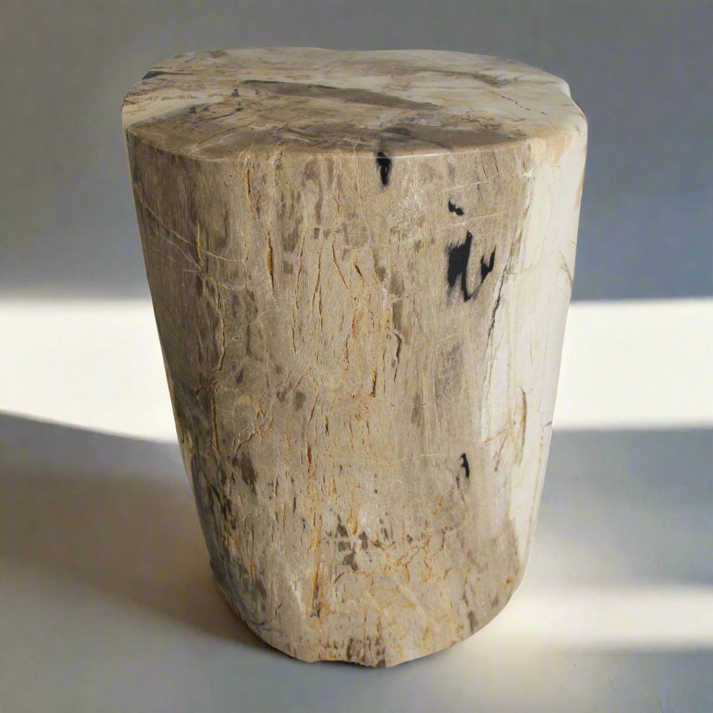 KALIFANO | Petrified Wood Round Stump / Stool - 16" / 172 lbs