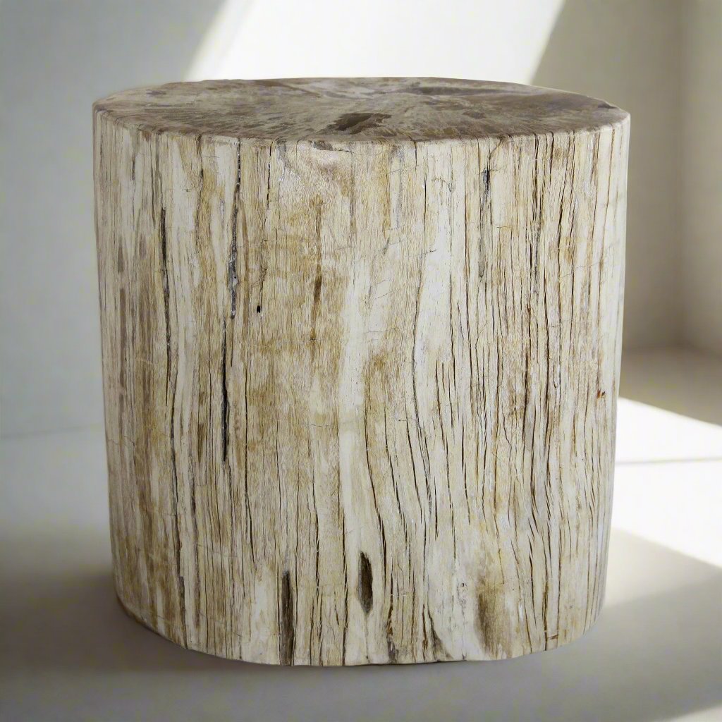 KALIFANO | Petrified Wood Round Stump / Stool For Sale - 16" / 181 lbs