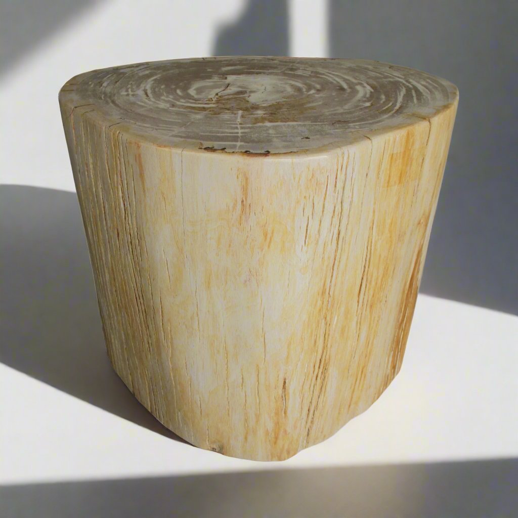 KALIFANO | Petrified Wood Round Stump / Stool - 16" / 286 lbs