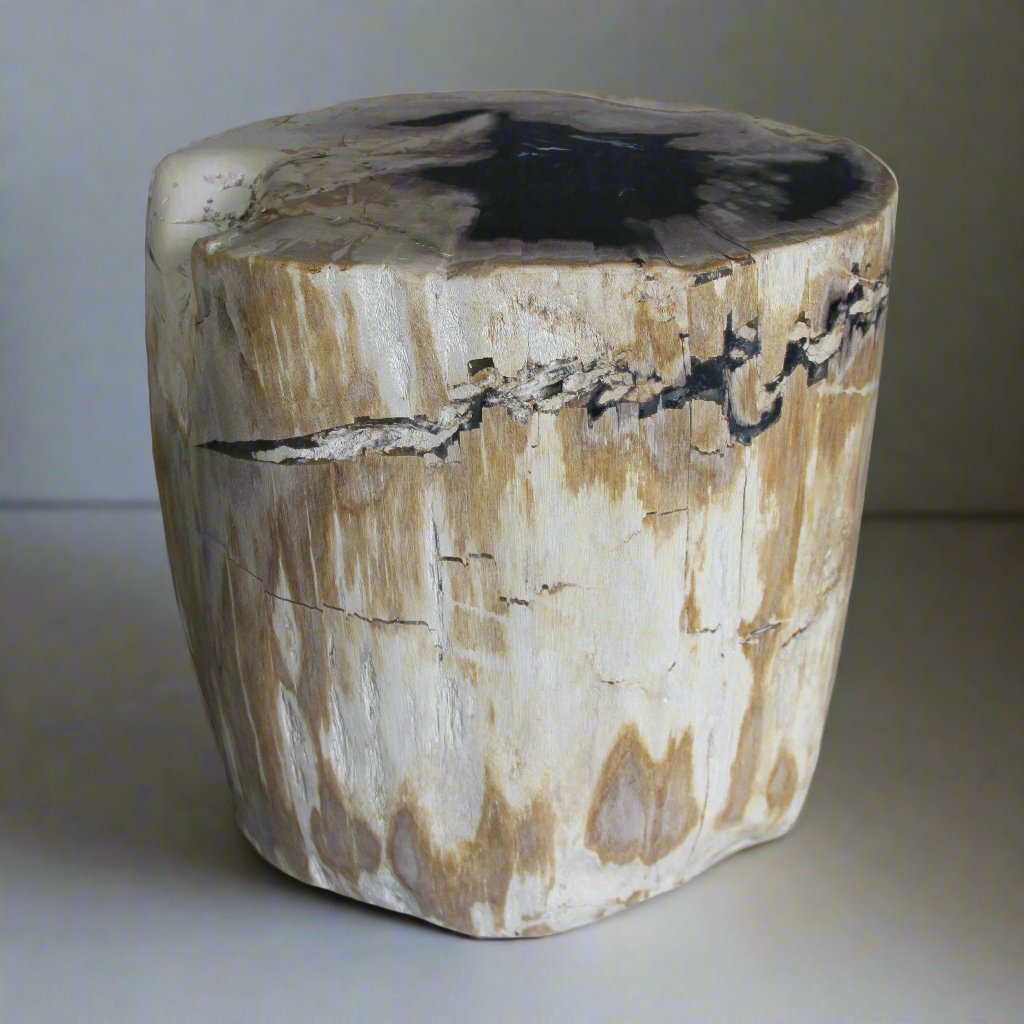 KALIFANO | Petrified Wood Round Stump / Stool - 45" / 266 lbs